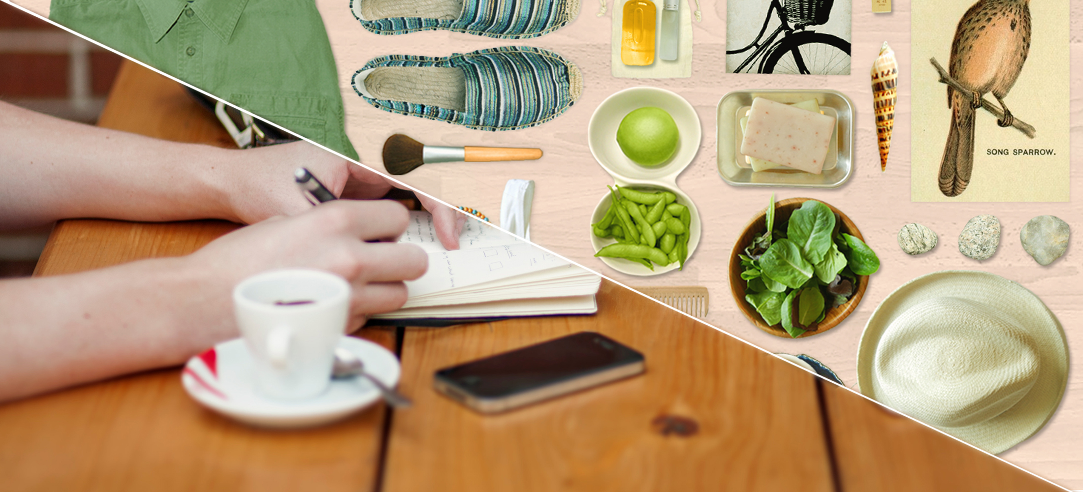 Our Principles: The Best Sustainable and Ethical Products | Greener Square